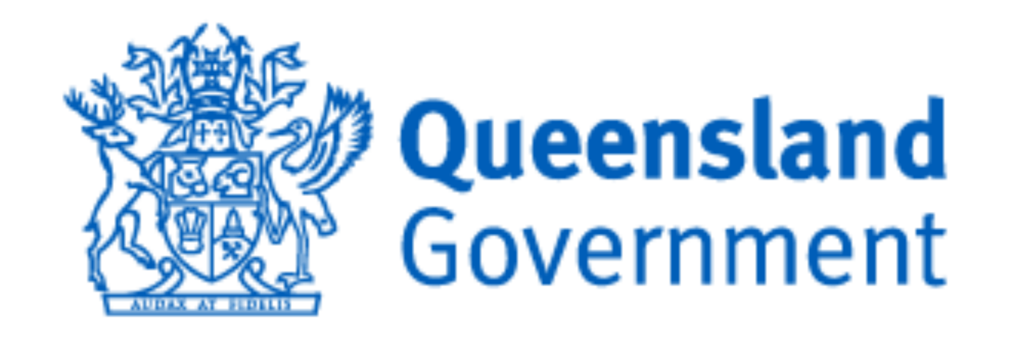 The Voice of Queenslanders with Disability Report 2025 - Queenslanders ...